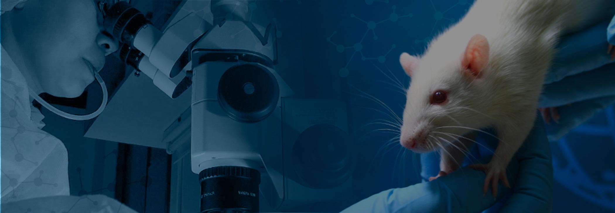 Lab. Animal Handling and Experimental Techniques - Girijananda ...